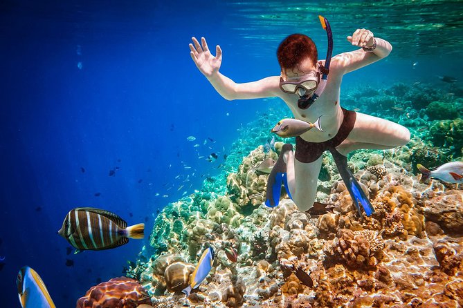 Best Snorkeling Trip at Blue Lagoon Bali - Final Thoughts