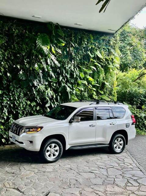 Best Value Deluxe Transportation La Fortuna - Monteverde - Is This the Right Choice for Your Costa Rica Trip?