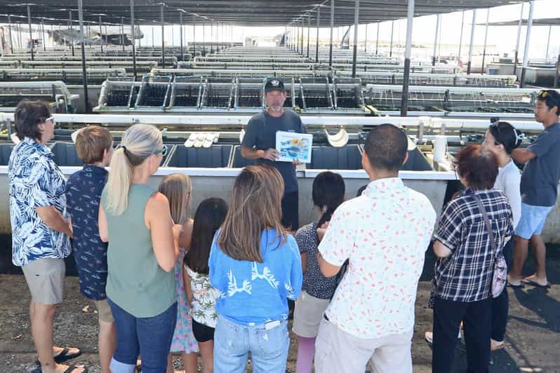Big Island: Abalone Farm Guided Tour with Tasting - Final Thoughts: Who Should Consider This Tour?