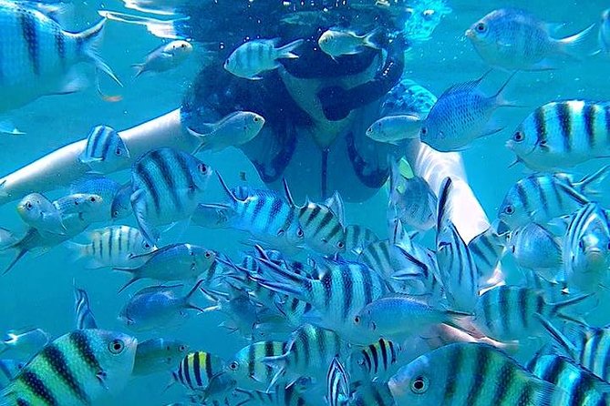 Bintan Snorkeling Tour - FAQs