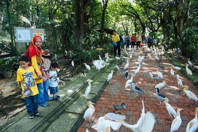 Bird Park & Butterfly Farm Nature Include All Entrance Tour From Kuala Lumpur - Practical Details and Tips