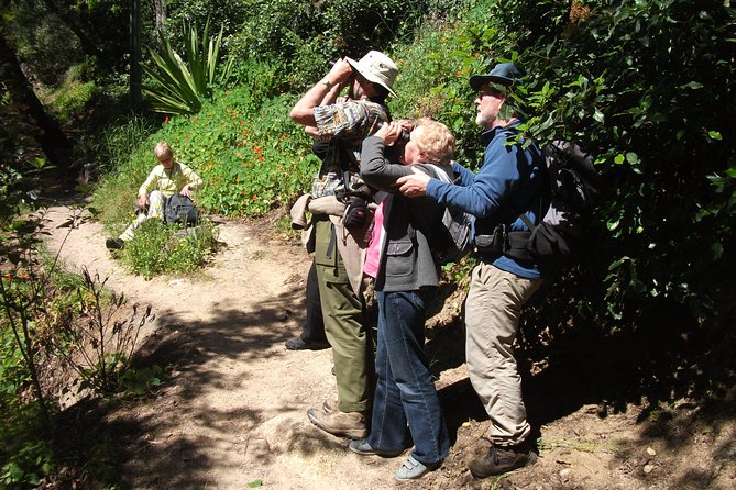 Birdwatching day in the Monchique hills - Final Thoughts: Why Choose This Birdwatching Tour?