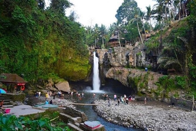 Blue Lagoon Snorkeling and Lunch - Ubud Monkey Forest - Waterfall - Final Thoughts: Who Should Consider This Tour?
