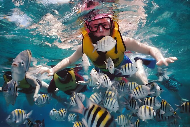 Blue Lagoon Snorkeling - Bali Best Snorkeling Site - Authentic Experiences and Feedback