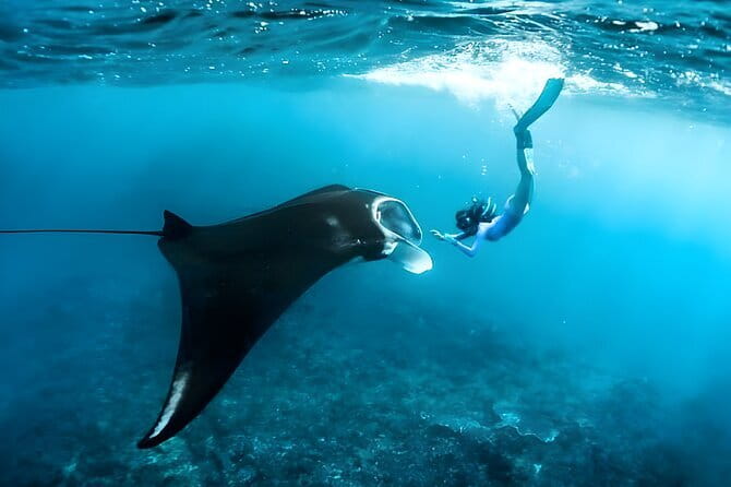 Blue Lagoon Snorkeling with Lunch and Private Transport - Value and Overall Impression