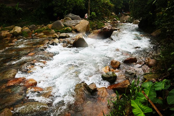 Bogor Botanical Garden & Rainforest Trekking to Hidden Waterfall - The Refreshing Cikaracak Waterfall