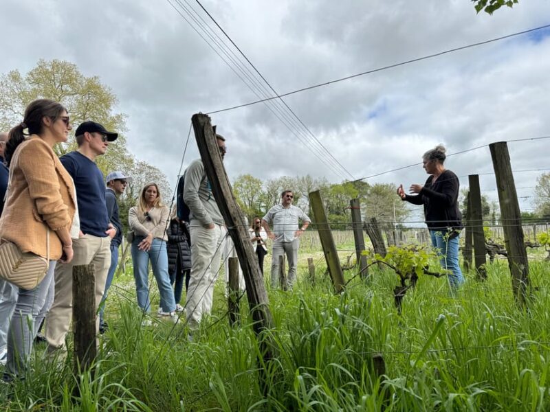 Bordeaux Backcountry E-Bike Tour with Lunch & Wine Tasting - What’s Not Included