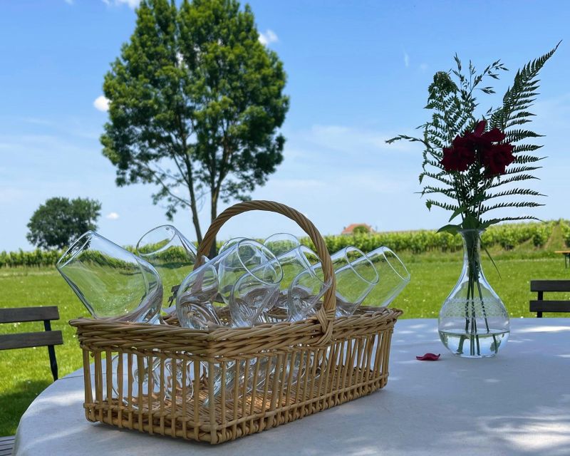 Bordeaux: Médoc & St-Emilion Wine Regions Tour with Tastings - Why This Tour Works for You