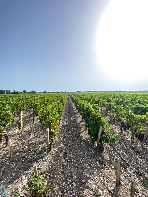 Bordeaux: Saint Emilion Village with Chateaus & Wine Tasting - The Sum Up