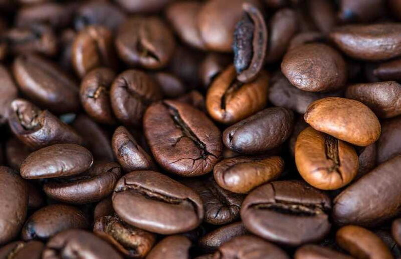 Buon Ma Thuot: Specialty Coffee Tour and Brewing Experience - Who Should Consider This Tour?