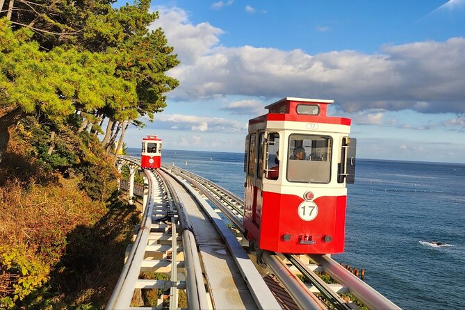 Busan Private Tour with an official tour guide - Who Should Book This Tour?