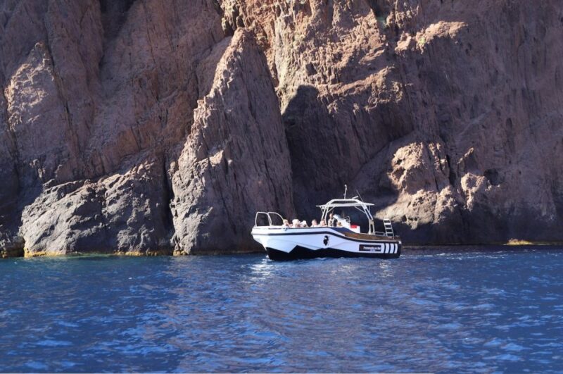 Calvi to Scandola: 4-Hour Boat Tour - Authentic Reviews and What Travelers Say