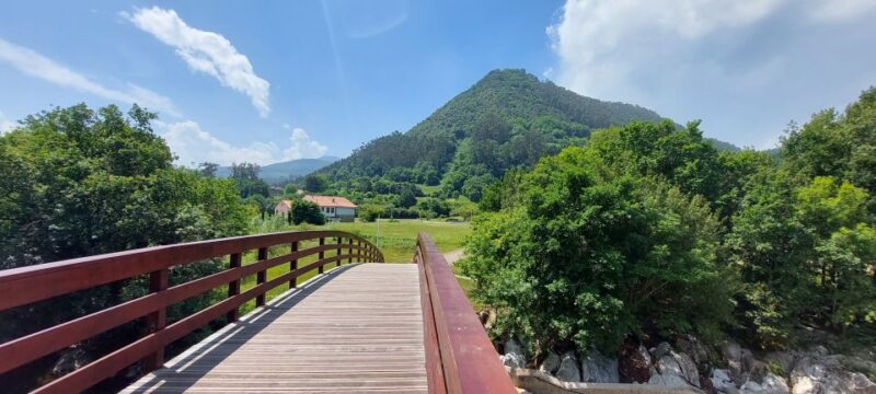 Cantabria: El Castillo Caves & Paleolithic Art - Reviews and What Others Say