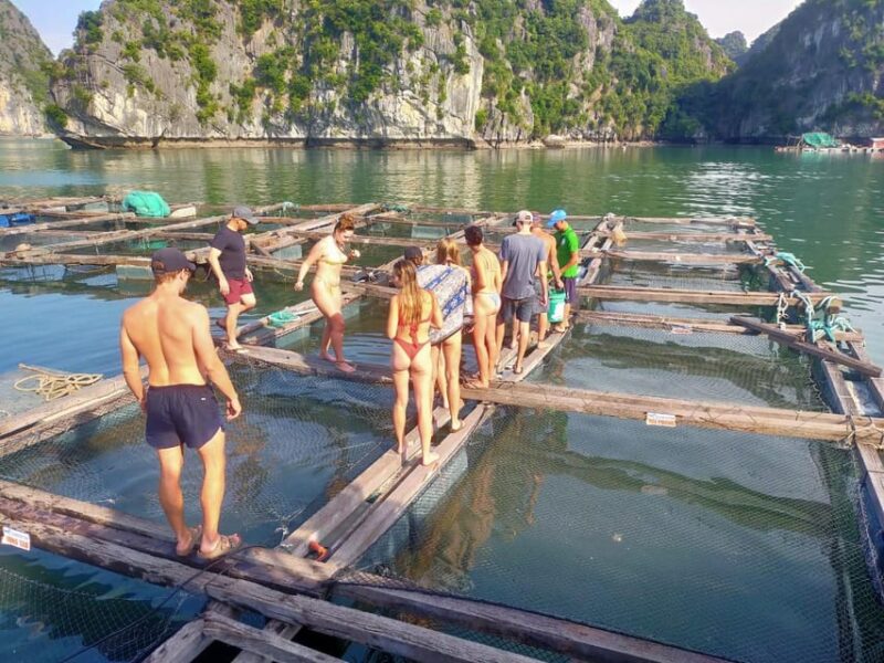 Cat Ba: 2-Day Lan Ha Bay Cruise with Plankton Excursion - Who This Tour Is Best For