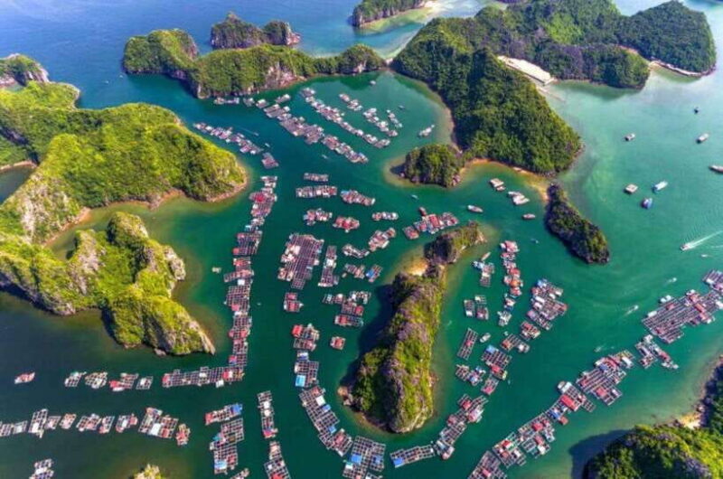 Cat Ba 2 days trip: Luxury cruise, national park & beach - Practical Tips for Travelers