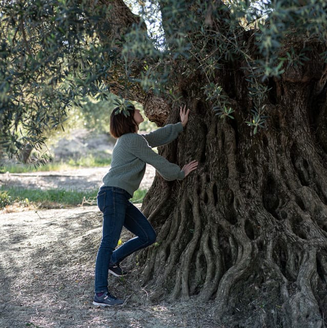 Cazorla: Olive grove and mill tour - Who Will Enjoy This Tour?
