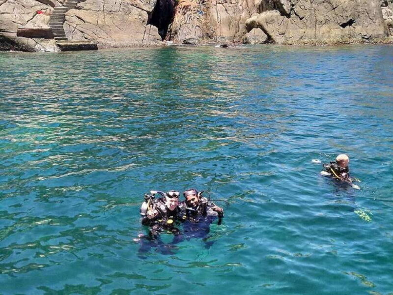 Cham Island: Snorkeling Experience From Danang - Frequently Asked Questions