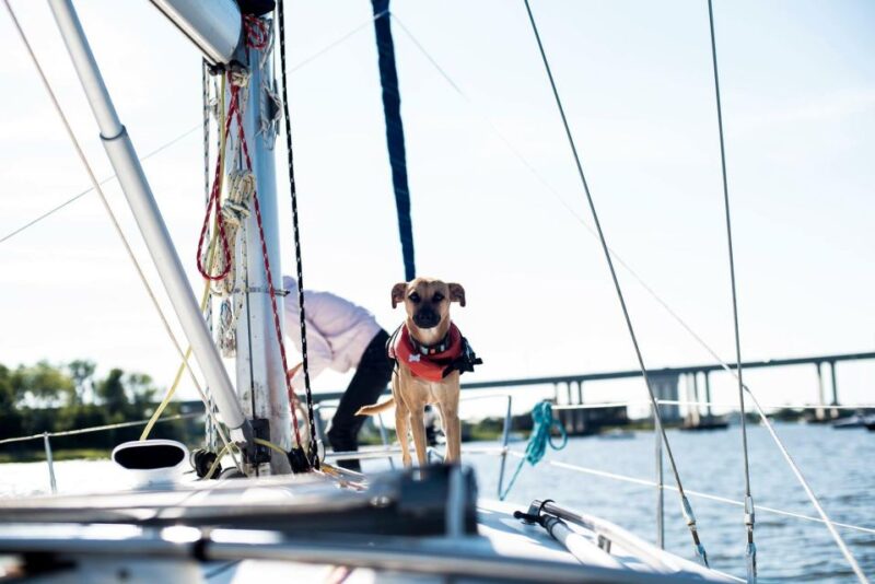 Charleston: Private BYOB Luxury Yacht Cruise - Who Will Love This Experience?