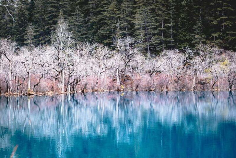 Chengdu & Jiuzhaigou Enchanted Landscapes Tour - The Value: Is It Worth It?