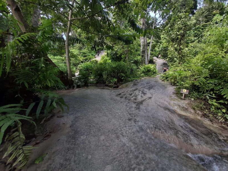 Chiang Mai: 4-Hour Sticky Waterfall Private Tour - Ideal for a Wide Range of Travelers