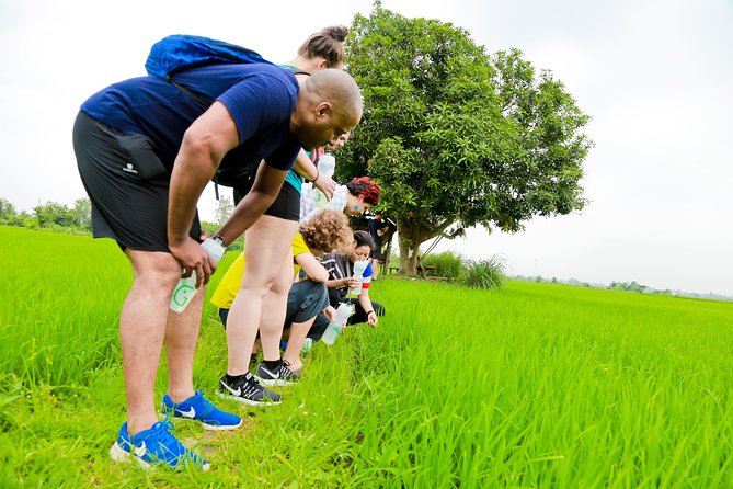 Chiang Mai Active E-bike Countryside Ride - Practicalities, Value, and Recommendations