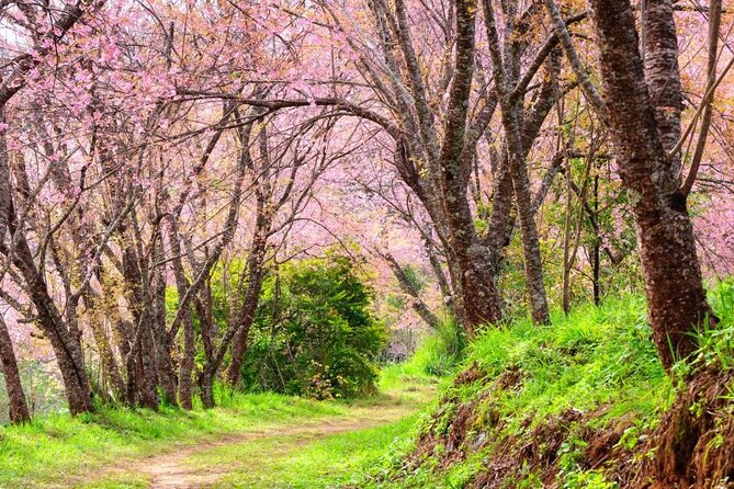 Chiang Mai - Doi Inthanon Full day Tour - FAQ