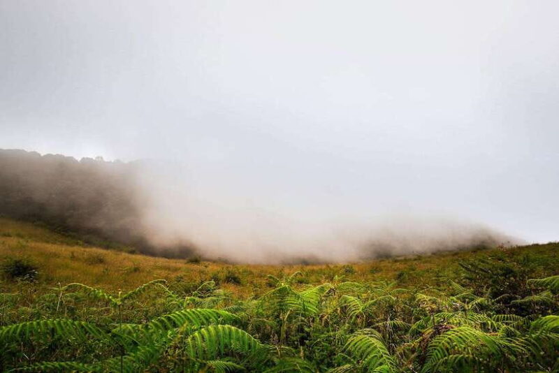 Chiang Mai: Doi Inthanon Park Tour & Kew Mae Pan Trail Hike - Who This Tour Is Perfect For