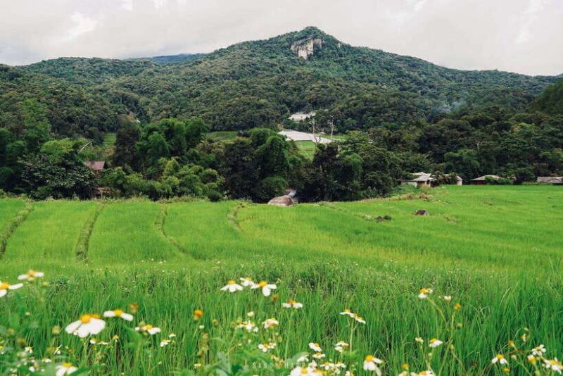 Chiang Mai: Doi Inthanon Trip with Pha Dok Siew Guided Trek - Practical Details and Tips
