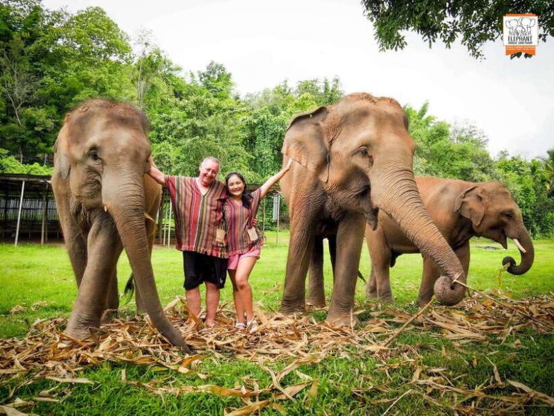Chiang Mai Elephant Jungle Sanctuary &Mama Noi Cooking Class - The Practical Side: What Travelers Need to Know