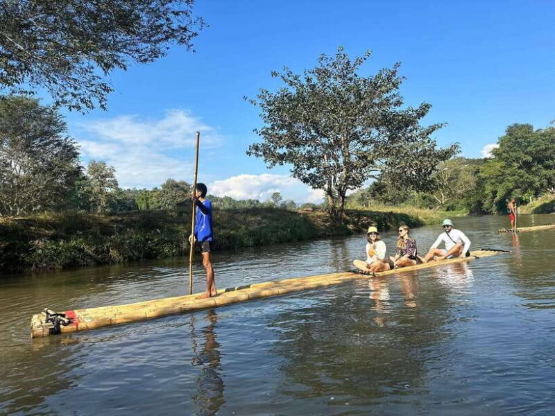 Chiang Mai: Elephant Sanctuary, Waterfall & Bamboo Rafting - The Value and Who Will Love It