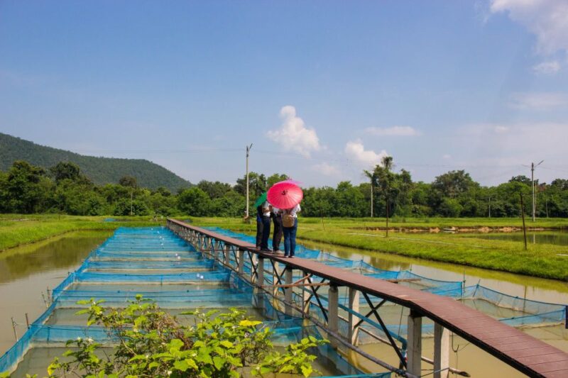 Chiang Mai Local Village Exploring with Weaving Experience - FAQ