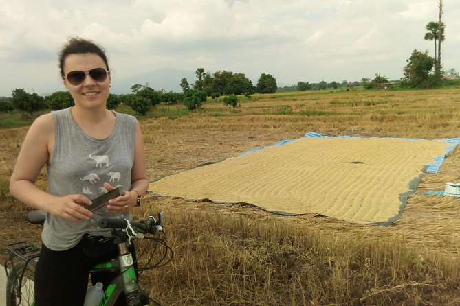 Chiang Mai Paradise Full-Day Cycling Adventure Tour - Pricing and Value