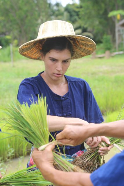 Chiang Mai: Thai Buffalo and Rice Planting Experience - FAQ