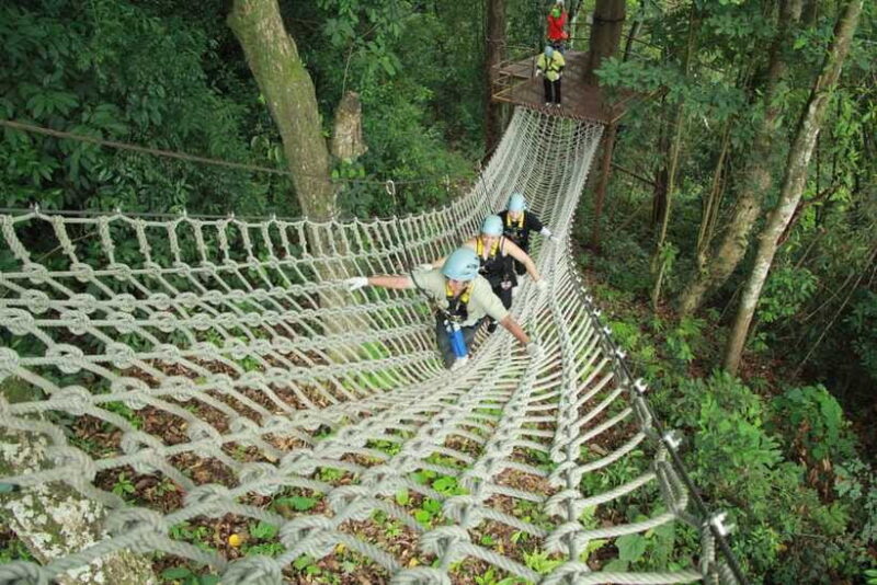 Chiang Mai: Zipline Adventure with Buffet Lunch and - The Sum Up