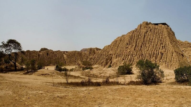 Chiclayo: Tomb of the Lord of Sipan and Site Museum Day Tour - Tips for Visitors