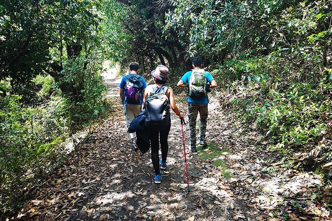 Chisapani - Nagarkot Trek Nepal - 3 Days - What Past Travelers Say