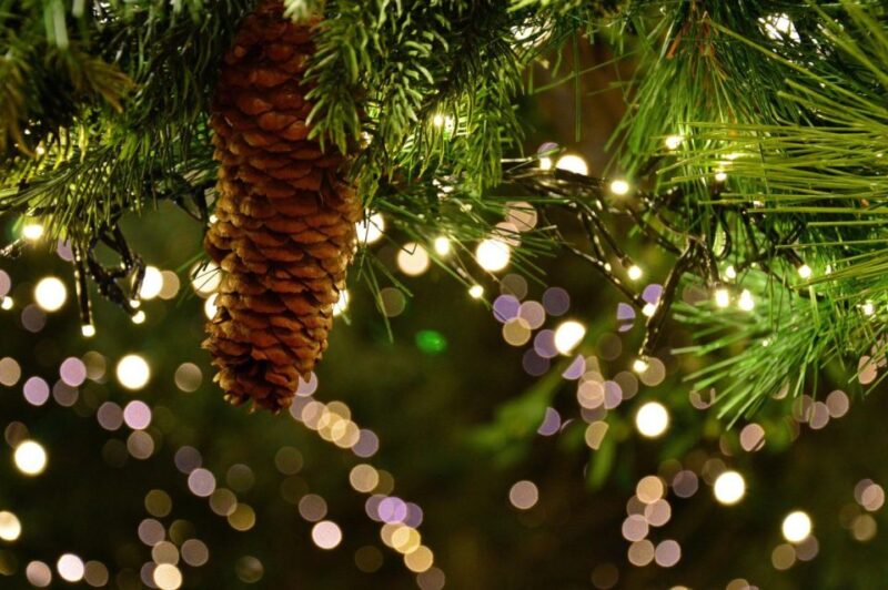 Christmas Tales in Canterbury  Private Walking Tour - Practical Details That Matter