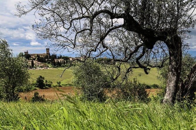 Cinque Terre Premium day trip with local guide from Florence - The Value for the Price