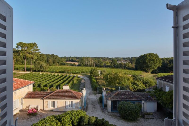 Cognac: 3-Hour Private Painting with Artist Jeanne Maze - Details and Practicalities