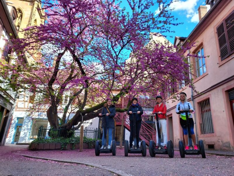 Colmar: 2-Hour Segway Tour - Detailed Breakdown of the Experience
