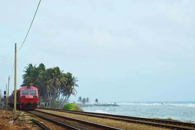 Colombo City Tour with Private Driver - Final Thoughts