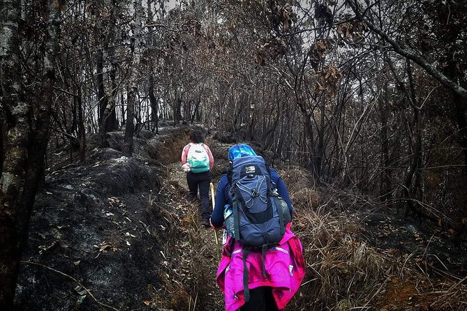 Conquer Mount Rinjani Second Summit: A 2-Day, Lombok-Indonesia - The Guides and Eco-Conscious Approach