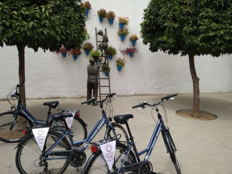 Córdoba Daily Highlights Bike Tour - Final Thoughts