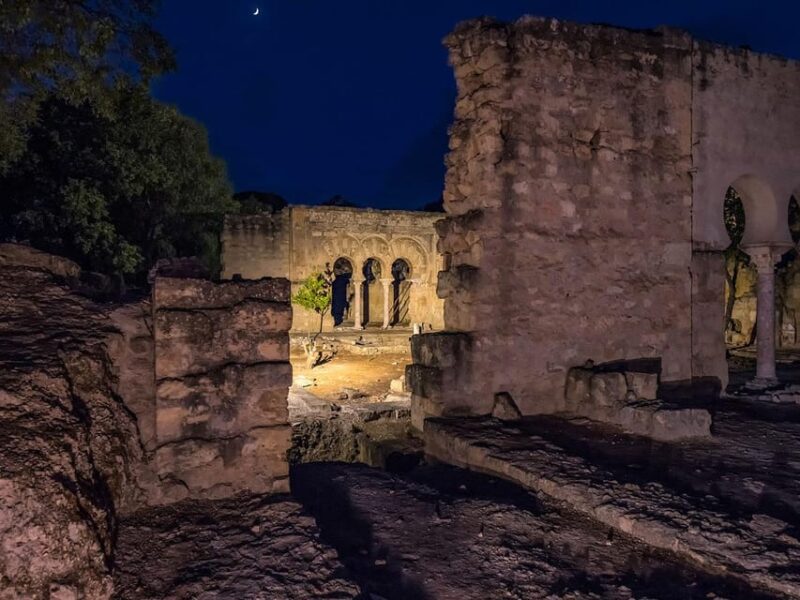 Cordoba: Guided Tour of Medina Azahara at Night - Who Should Consider This Tour?