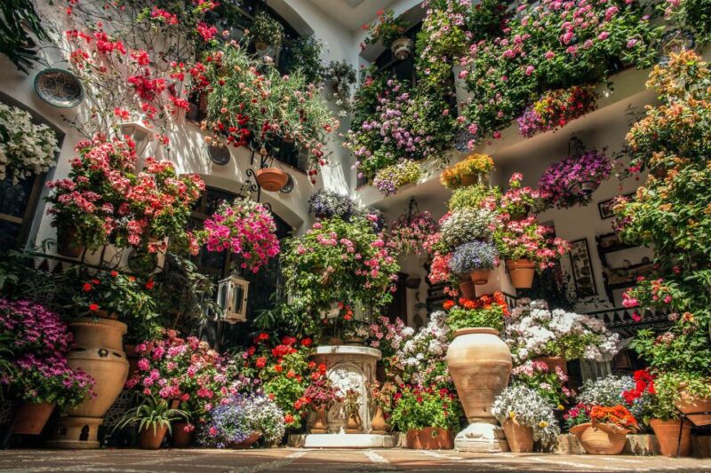 Córdoba: Guided Tour of the Patios - FAQs