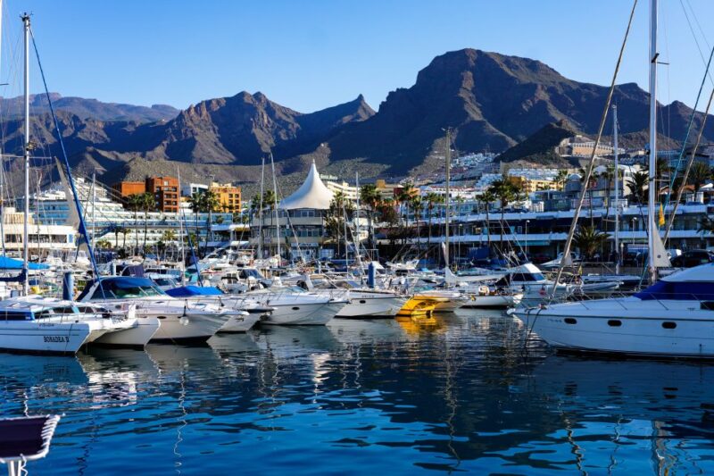 Costa Adeje: Tuk Tuk Tour - Practical Details: What You Need to Know