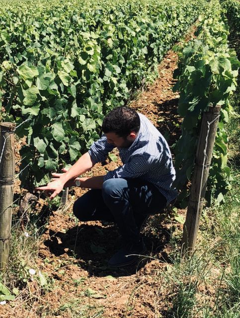 Côte de Beaune and Côte de Nuits : Private Full day Winetour - Final Thoughts