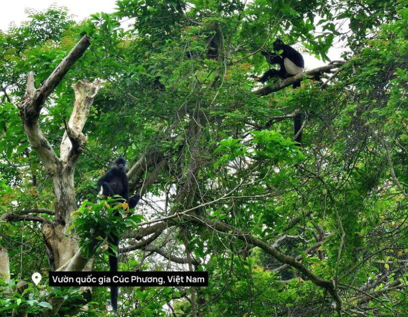 Cuc Phuong National Park Adventure: Nature Tour in 1 day - FAQ