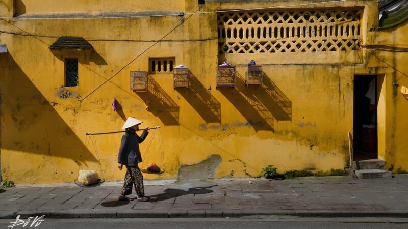 Da Nang/Hoi An: Coconut Village Boat and Hoi An City Tour - Practical Details and Value