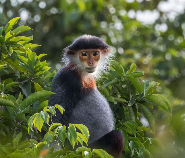 DA NANG: Marble & Monkey Mountain, Am Phu Cave Sunset Tour - Scenic Stops and Local Flavor